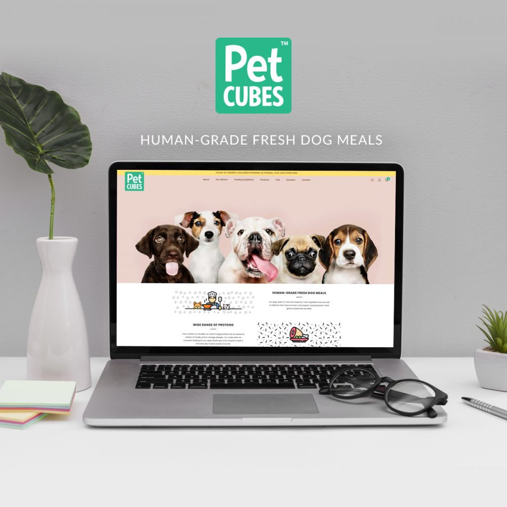PetCubes Singapore - Penang, Malaysia Shopify eCommerce Expert
